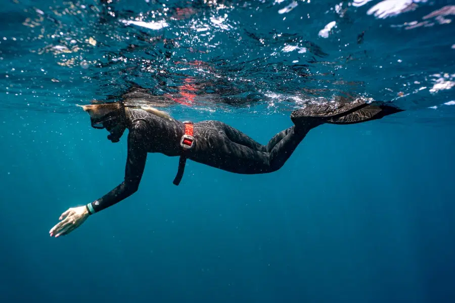 Julian Rocks Nguthungulli Byron Bay