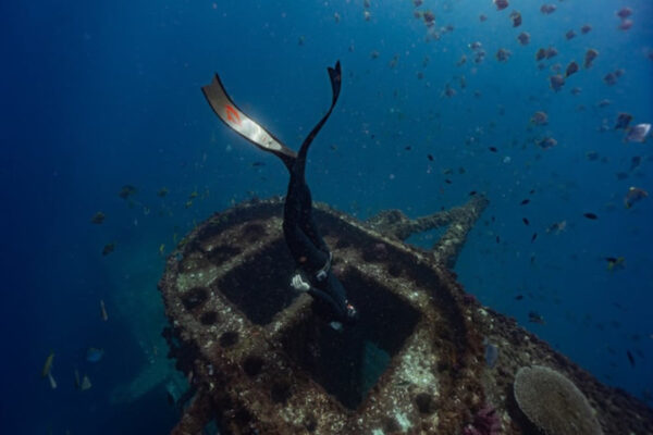 Dive and Snorkel in Sunshine Coast and Gold Coast | The Pressure Project